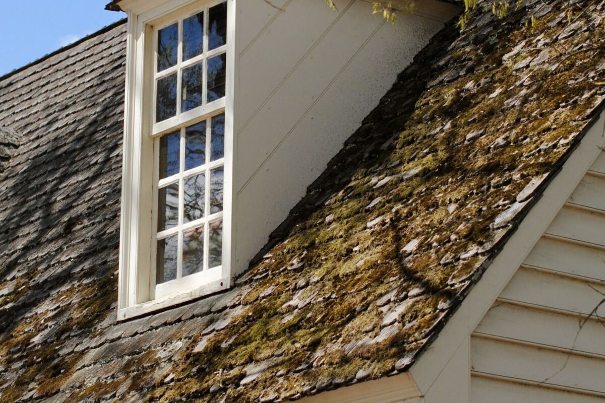 How to Clean a Shingle Roof: Tips for Removing Algae, Moss, and Stains
